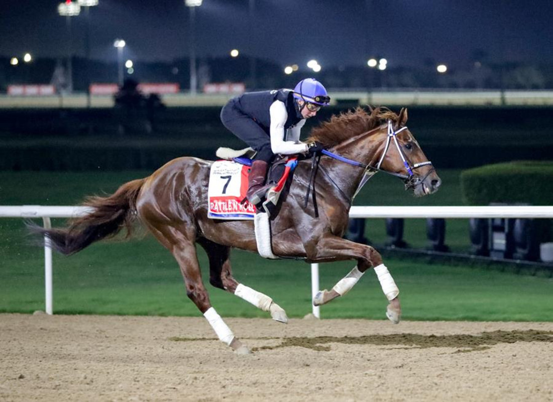 Rattle N Roll gets class relief in Tinsel Stakes