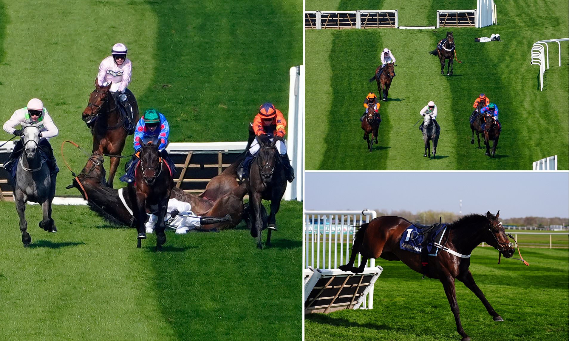 Constitution Hill falls again less than four weeks after Cheltenham ...