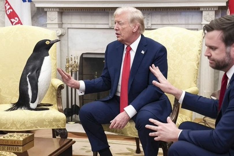 Hilarious memes go viral after Trump slams huge tariffs on island with ...