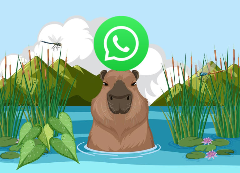 Guía definitiva para activar el modo Capibara en WhatsApp: personaliza ...