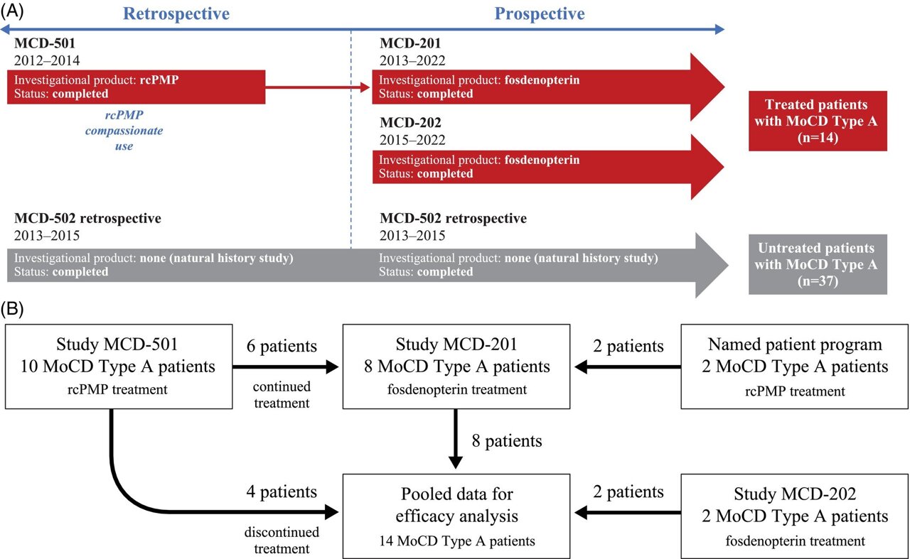 Successful therapy confirmed for newborns with fatal metabolic disorder ...