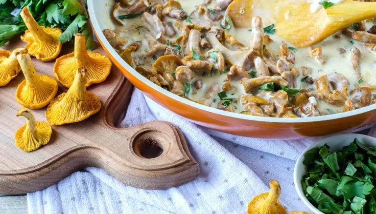 Que faire avec des girolles