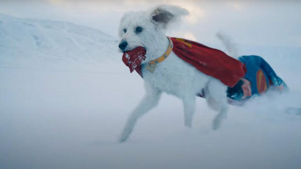 James Gunn's 'Superman' Leads to More Than 500% Surge in Dog Adoption ...