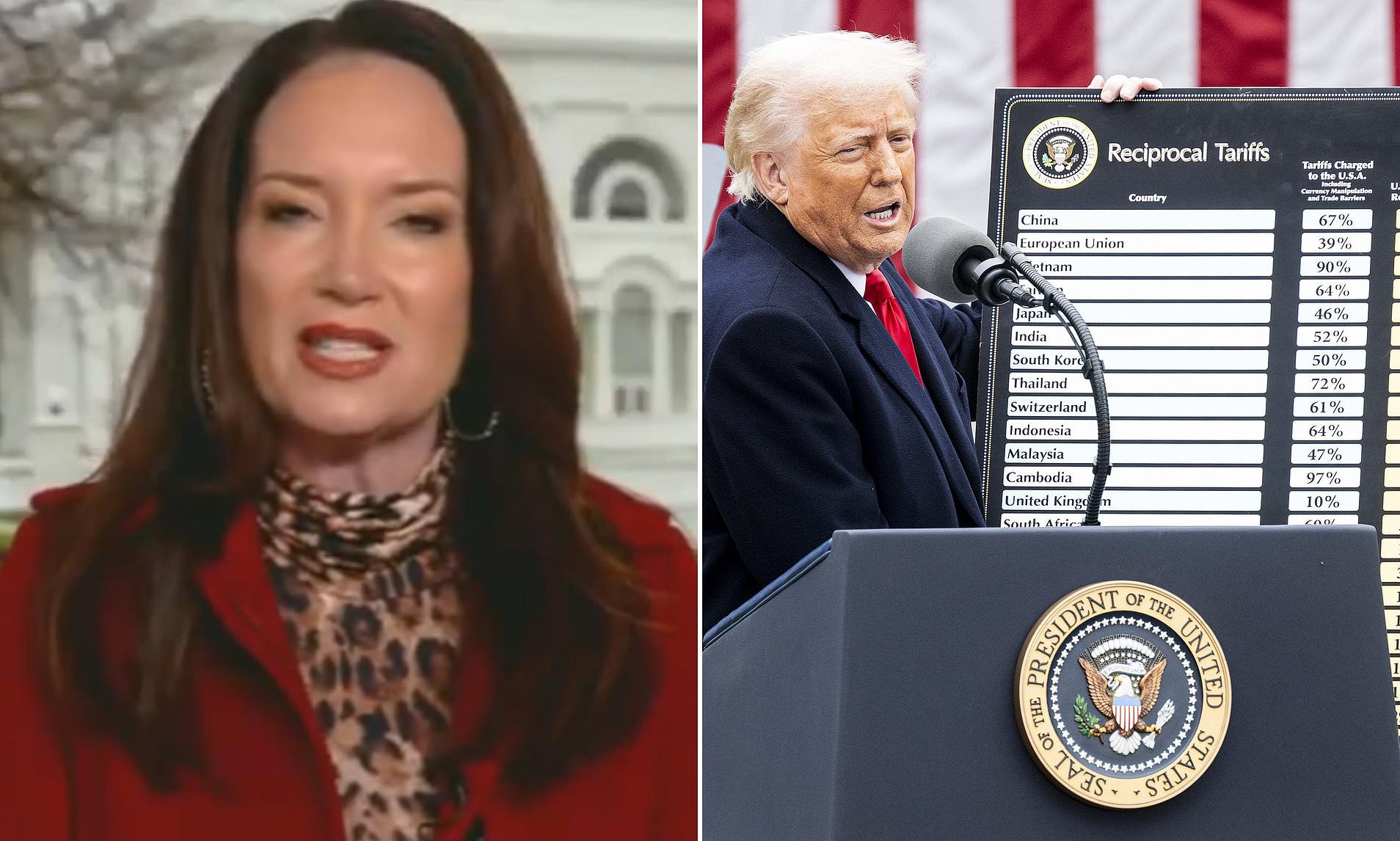 Trump aide Brooke Rollins makes Fox News appearance at VERY unfortunate ...