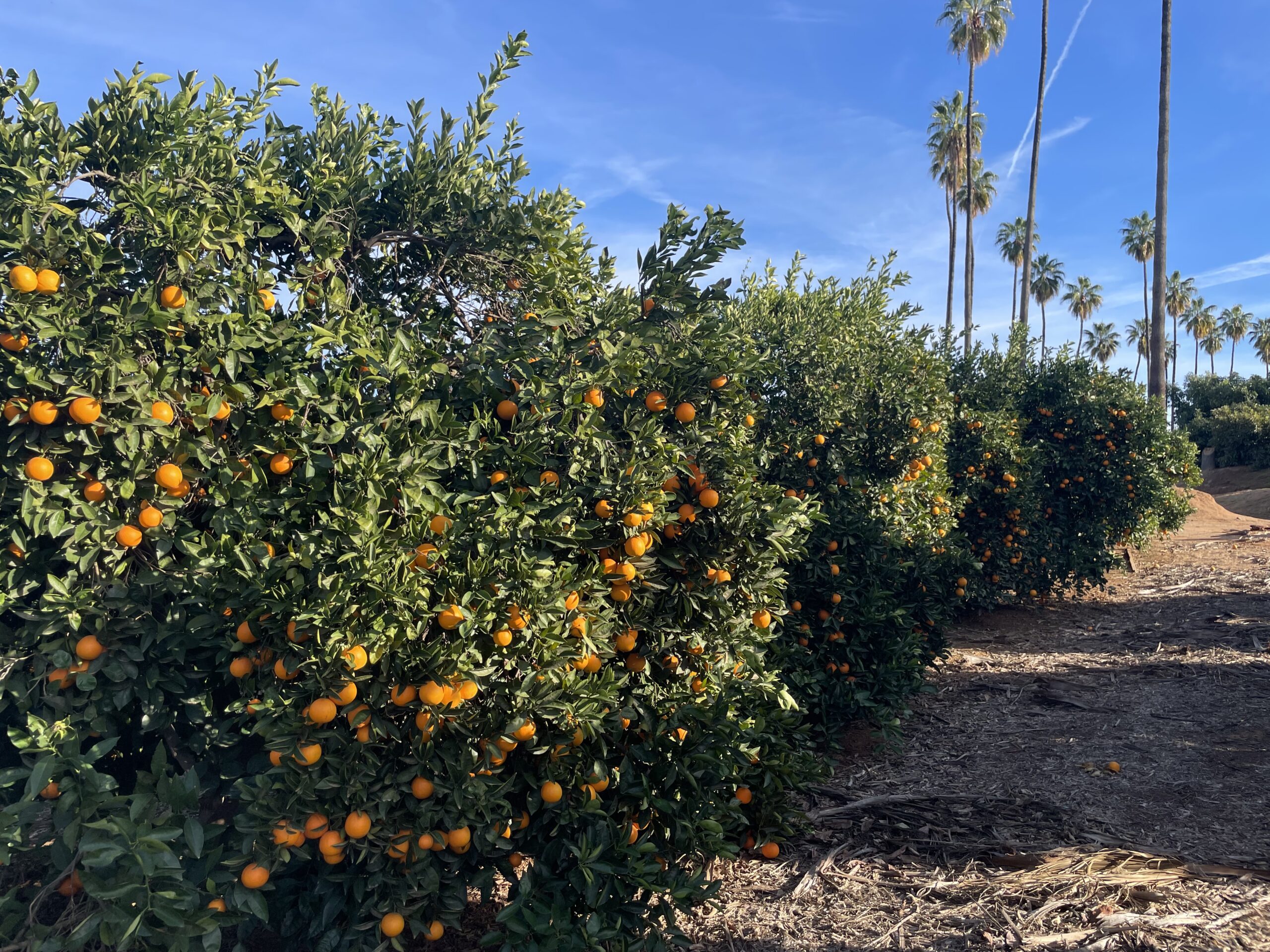 NASA uncovers hidden Cold War military base in Greenland