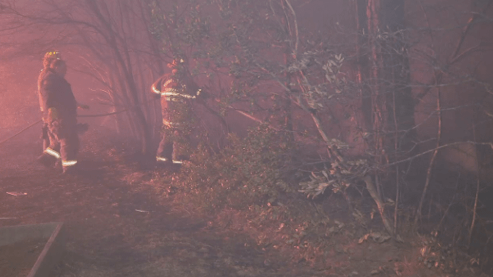 Wildfire risk persists in SC; officials urge proactive measures