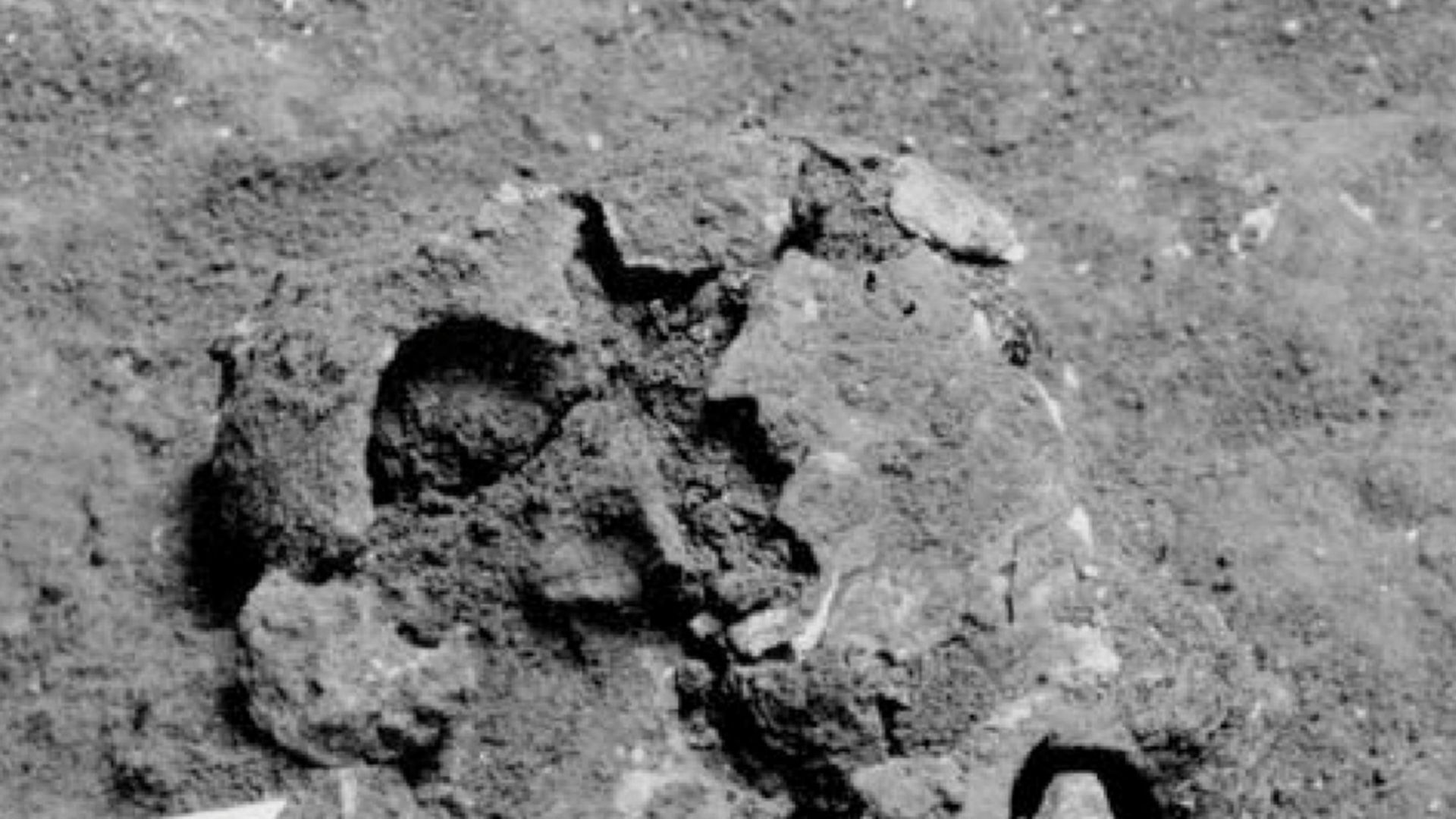 20 Fascinating Truths About Man's Evolution Through Time