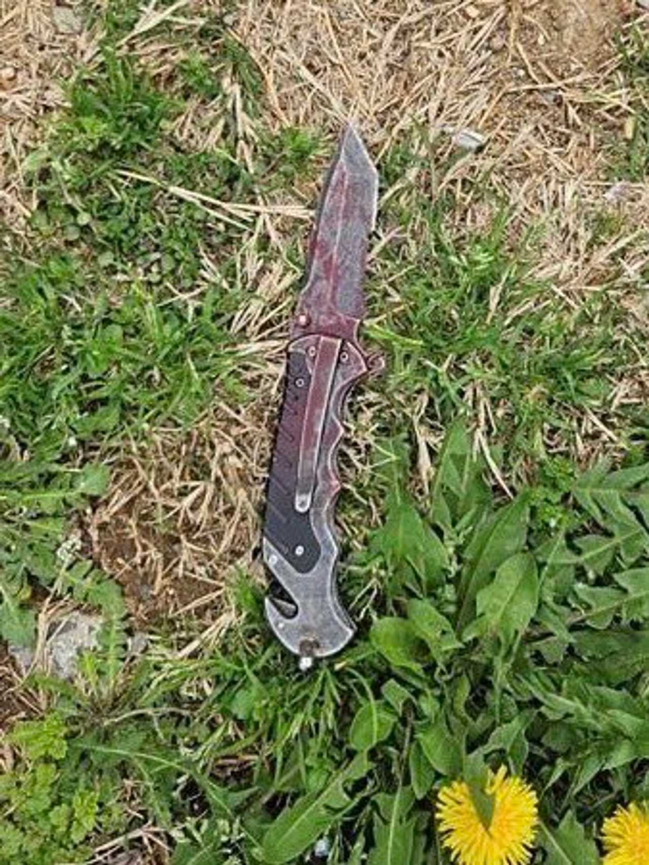 DC Man Who Attacked Six In Random Rampage Arrested, Police Say