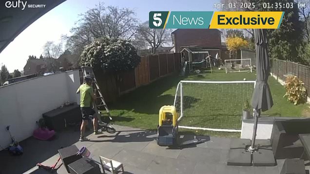 Hawk captured after terrorising residents of Home Counties village for ...