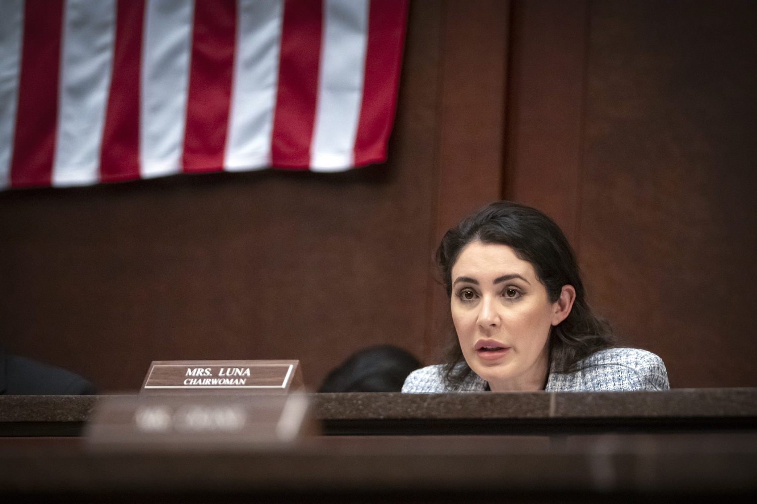 Trump backs remote voting for new parents amid House GOP impasse