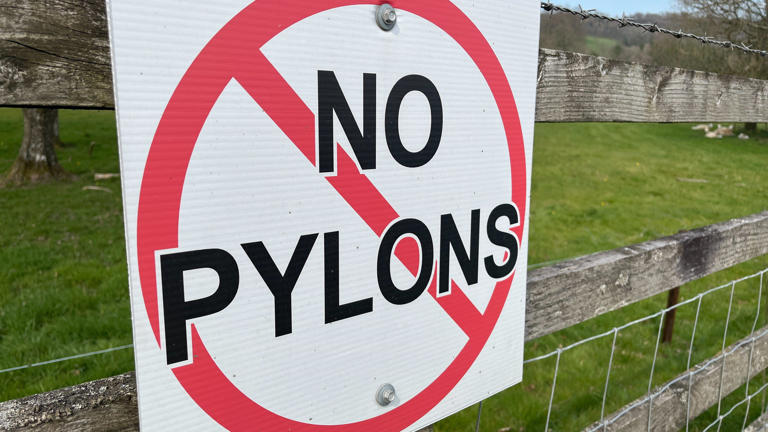 Pylon plans could spark mass social unrest - Plaid