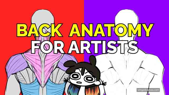How to Draw Realistic Back Muscles – Anatomy Made Easy for Art Nerds!