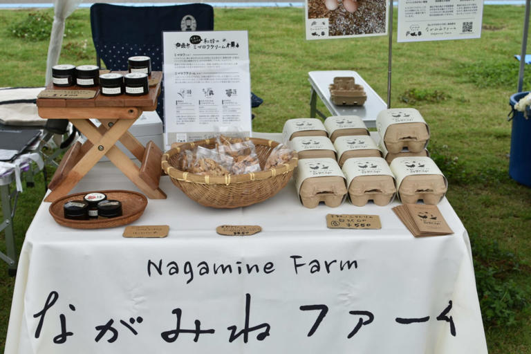 218 Dead In Devastating Roof Collapse At Jet Set Nightclub In Dominican ...