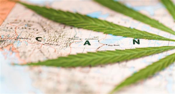 Top 5 cannabis stocks with operations in Canada