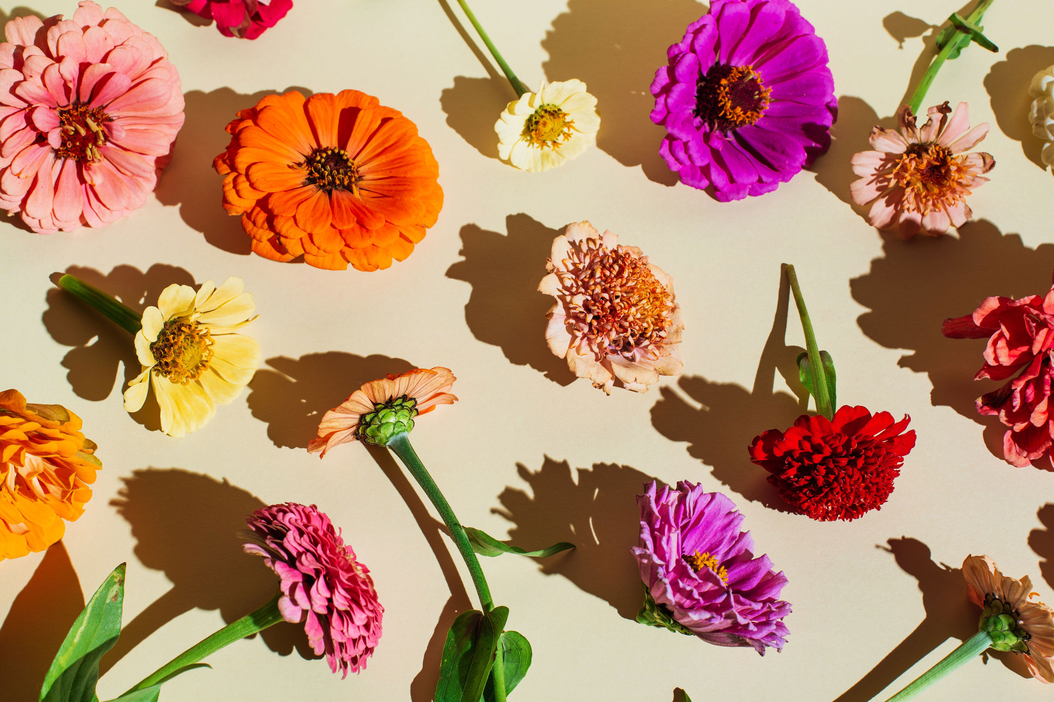85 Flower Meanings That Will Take Your Bouquet to the Next Level
