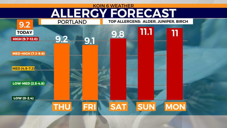 Spring sunshine brings surge in pollen in Portland