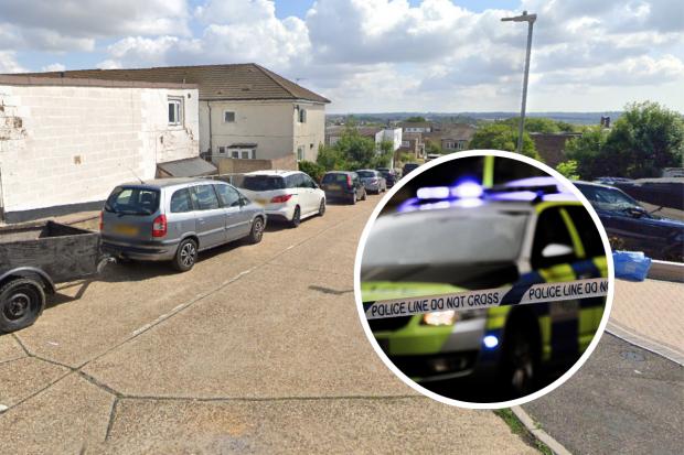 Police on scene of 'dangerously out of control' dog incident in Basildon