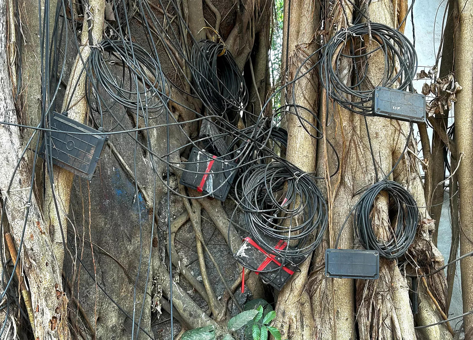 Electricity dept halts cutting of internet cables