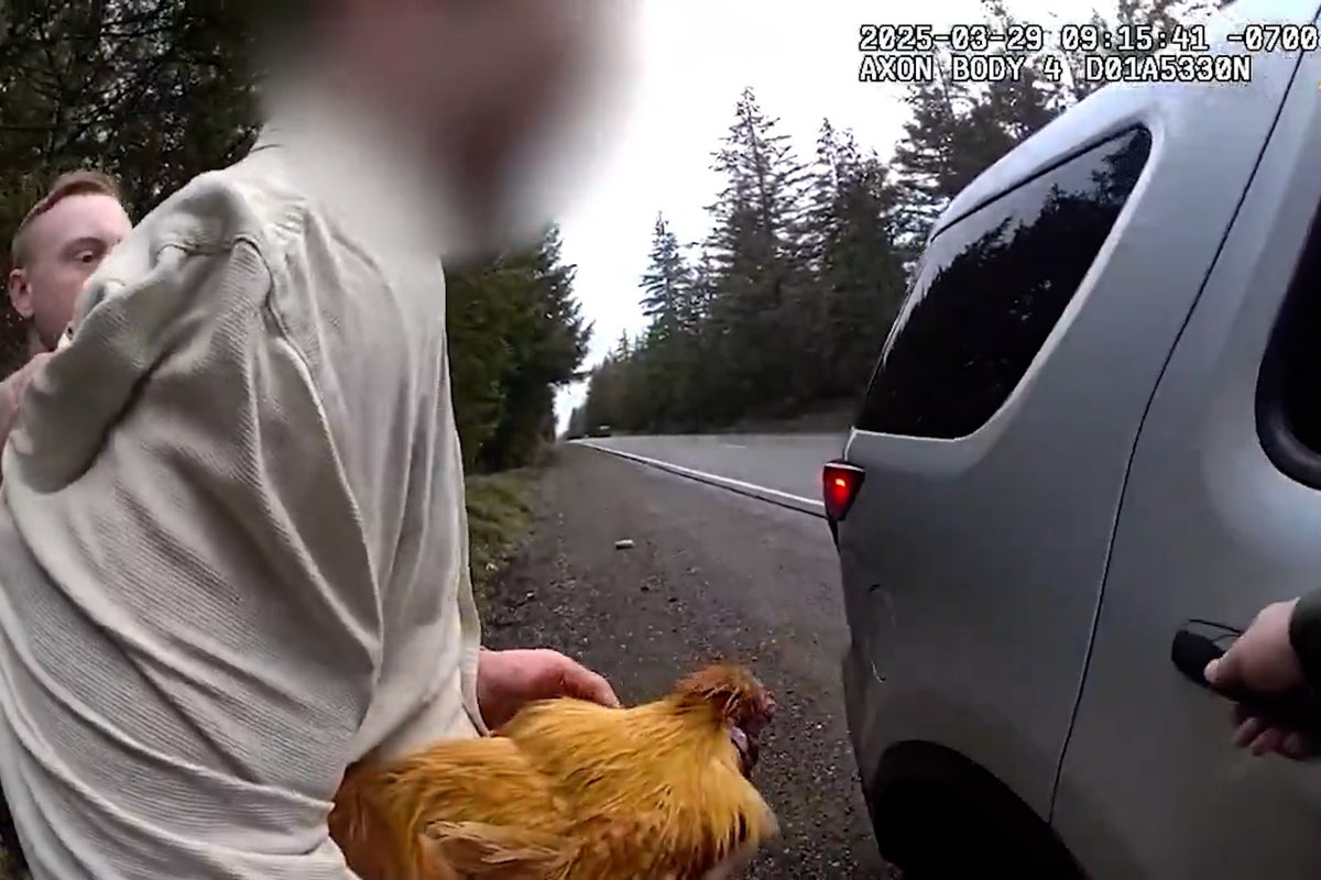 Bizarre moment police arrest weeping man who allegedly stole ex ...