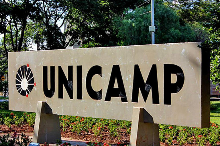 Unicamp oferece 14 cursos de graça com opção de certificado; saiba tudo