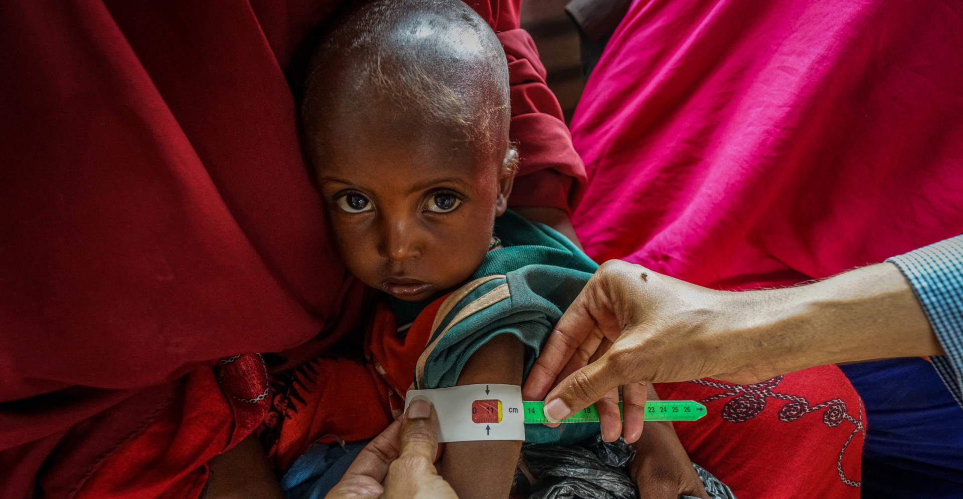 The potential impact of USAID pauses