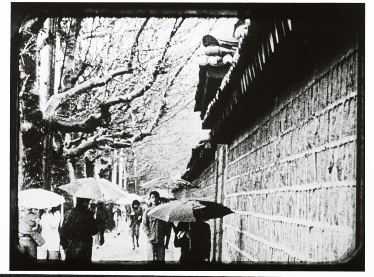 Berkeley Art Museum to Stage Retrospective for Theresa Hak Kyung Cha ...