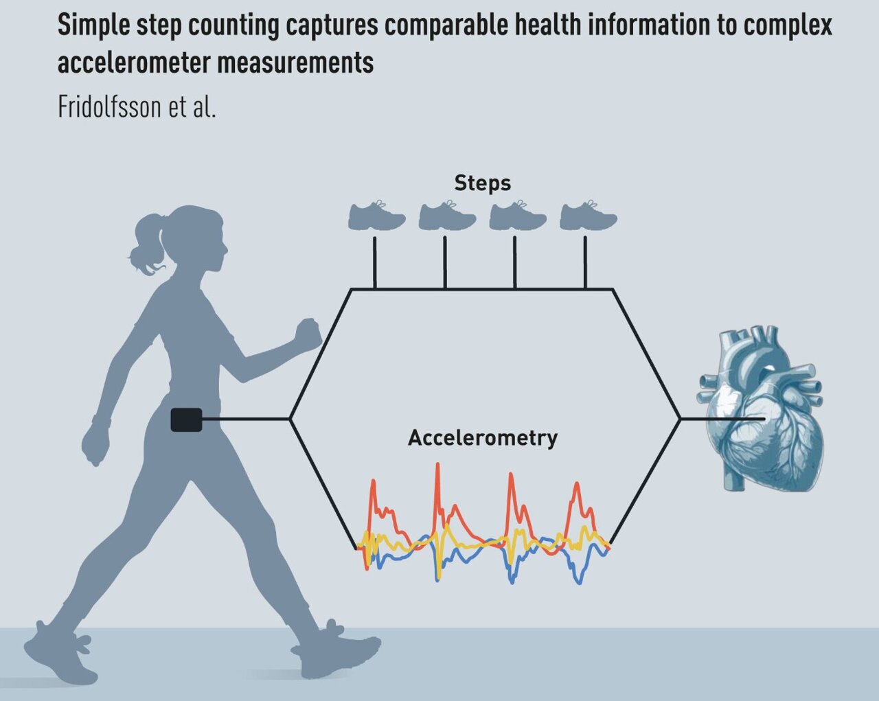 Pedometers suffice for measuring health-promoting physical activity ...