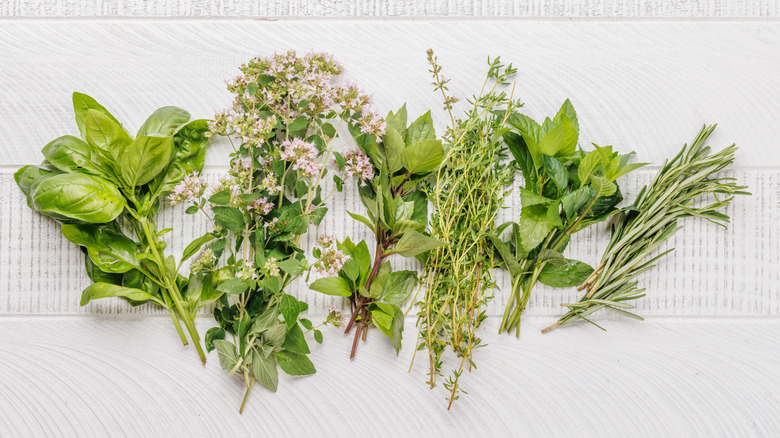 Tarragon Vs Fennel: What's The Difference?