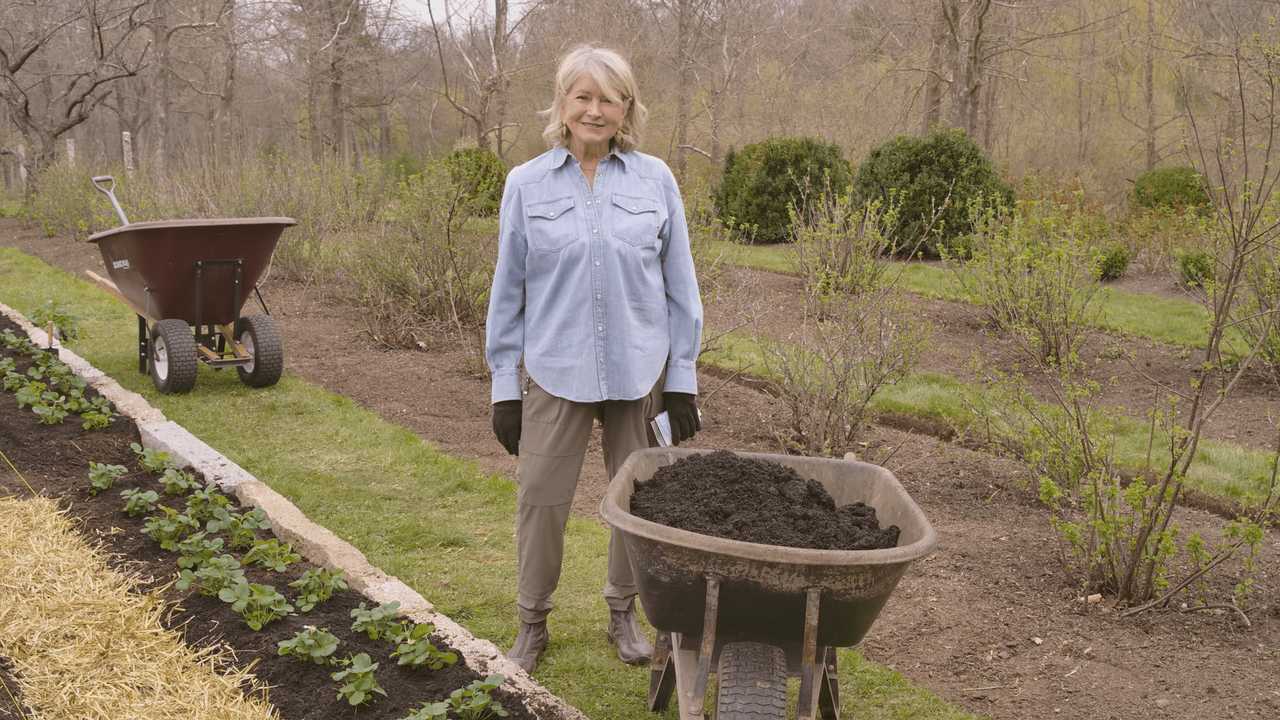 Martha, 24/7: Pluto TV Launches Round-The-Clock Channel Ft. Hudson ...