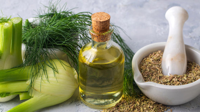 Tarragon Vs Fennel: What's The Difference?