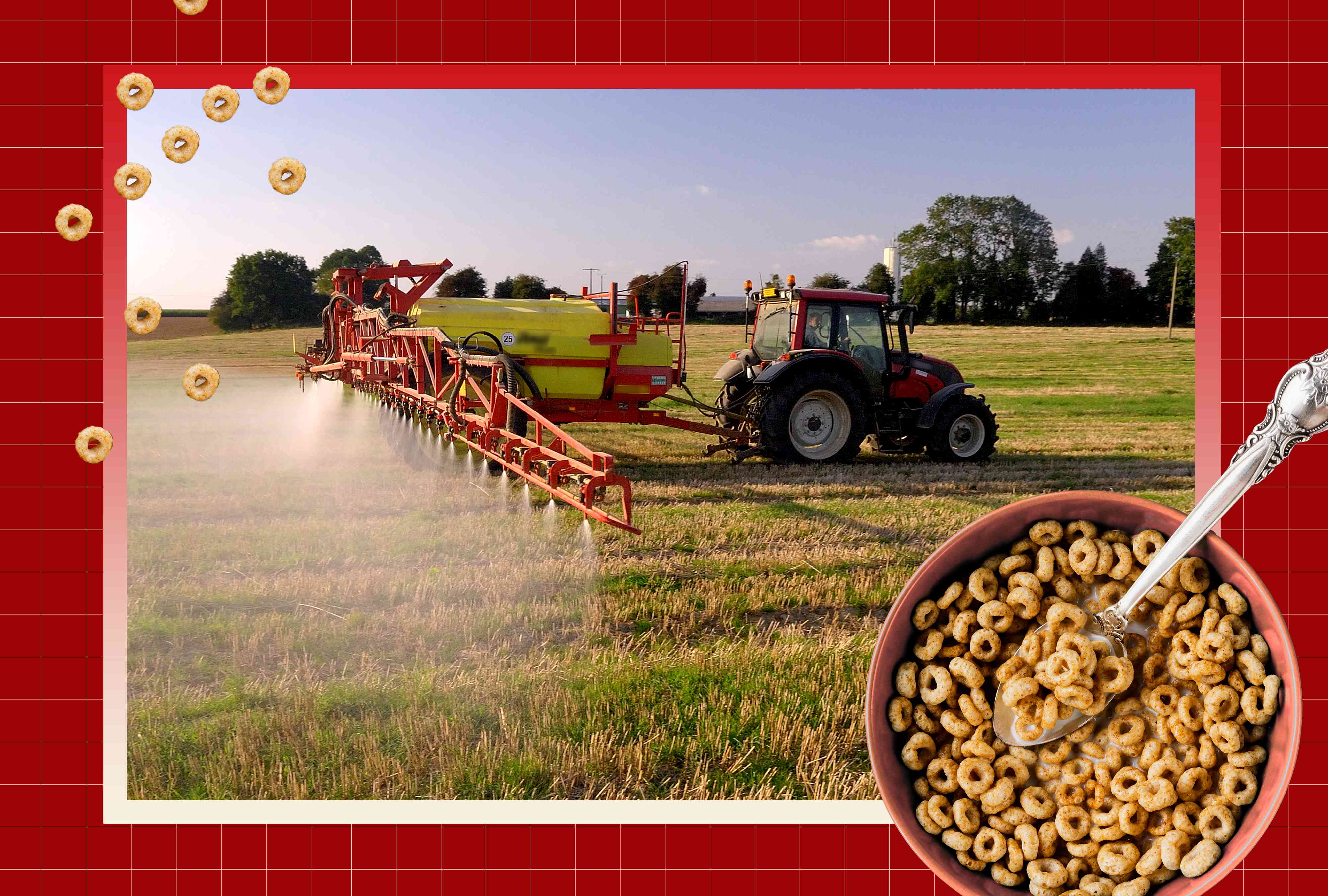 Is Glyphosate in Our Food Supply Causing Cancer? Here’s What The Latest ...