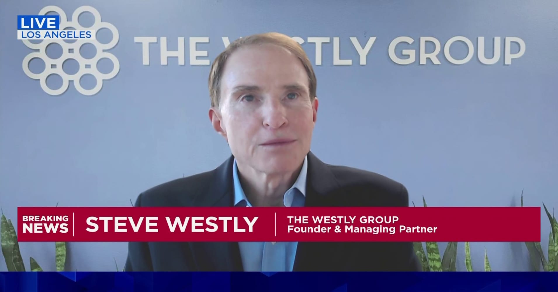 Former Tesla board member on the 'triple whammy' behind Tesla's stock ...