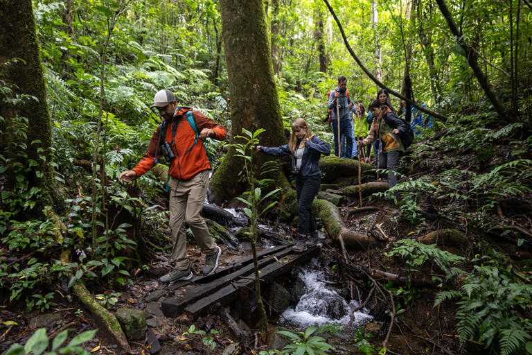 Nasdaq down 5%, S&P 500 4%, Dow drops 1,500 points as selloff ...