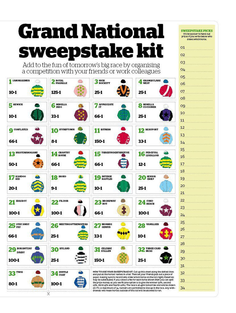 How to download and print The i Paper’s 2025 Grand National sweepstake kit