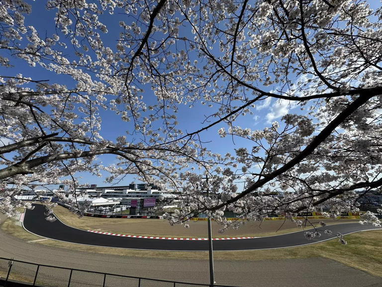 FIA’s new circuit map aims to reduce F1 safety car delays during on ...