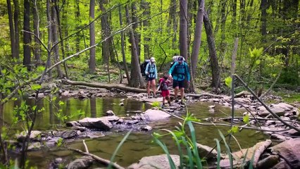 Beyond the Tree Line | movie | 2024 | Official Trailer