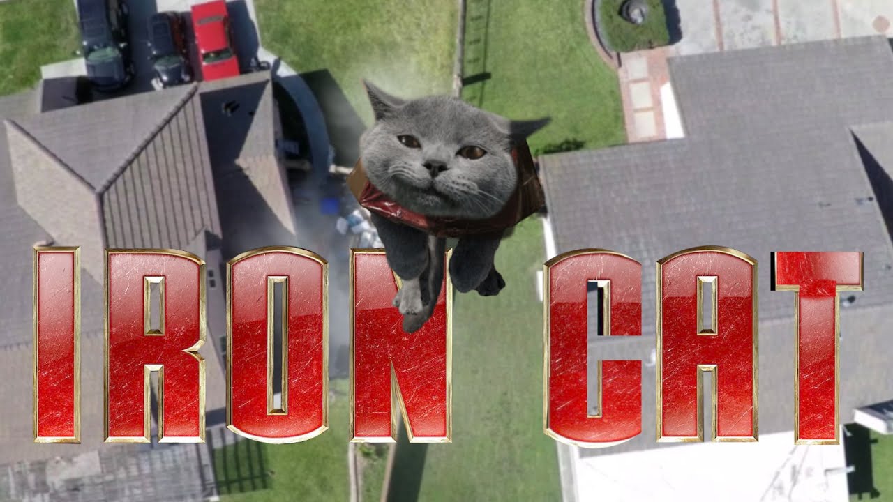 Cat Tries Flying Like Iron Man in Heartwarming Adventure