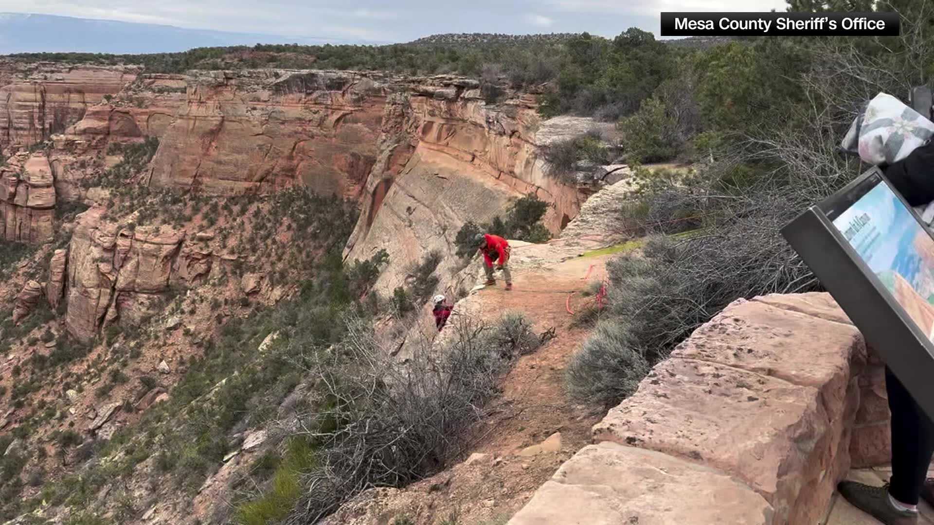 VIDEO: Dog rescued after 100-foot canyon fall at Colorado National Monument