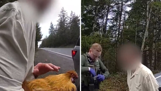 Gun-wielding cop vs chicken thief: Police arrests man for stealing ex ...