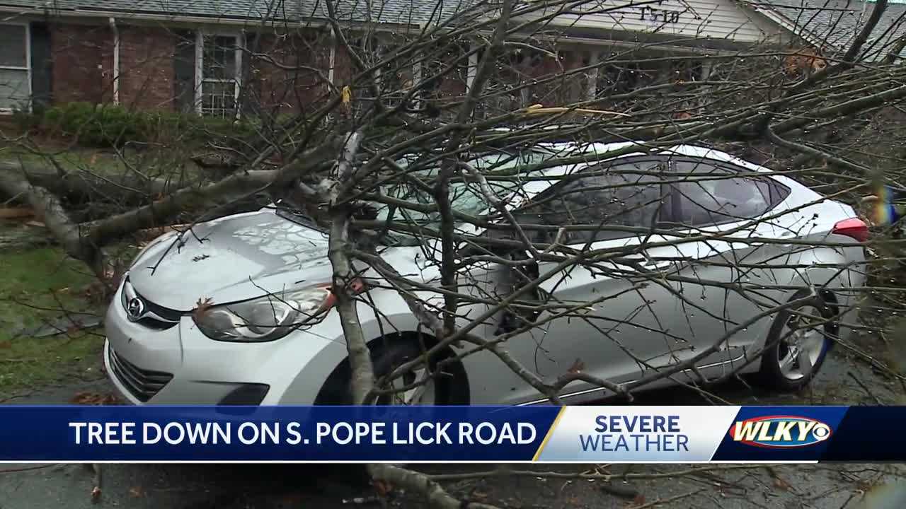 Where you can drop off tree debris from storms in Louisville