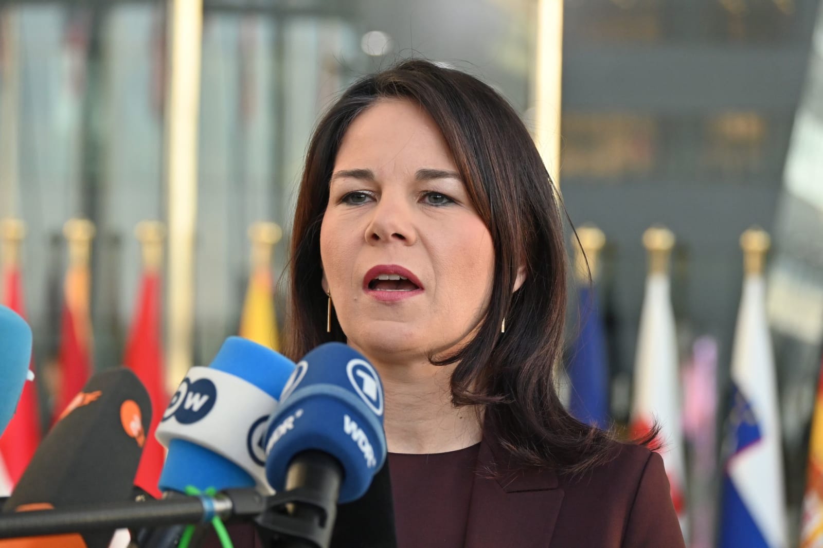 Germany's Baerbock stresses NATO's continued commitment to Ukraine