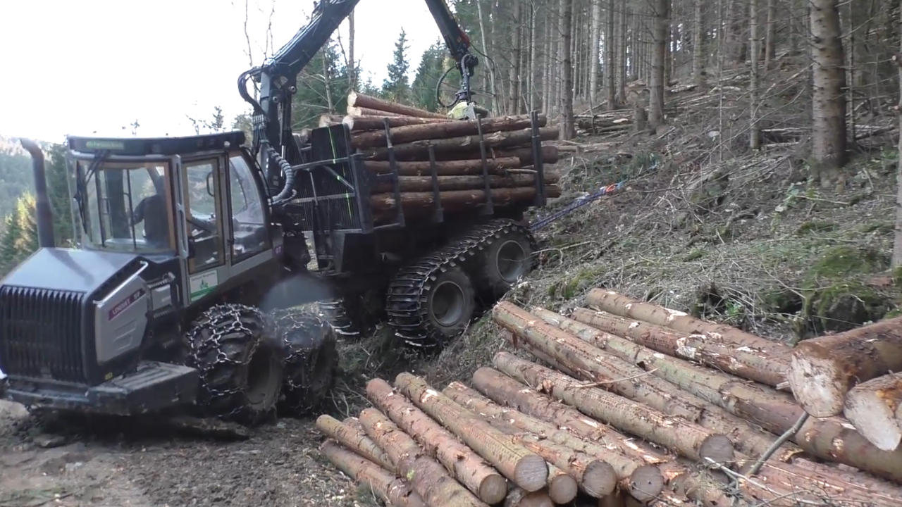 Powerful Logging Equipment Tethered for Maximum Efficiency