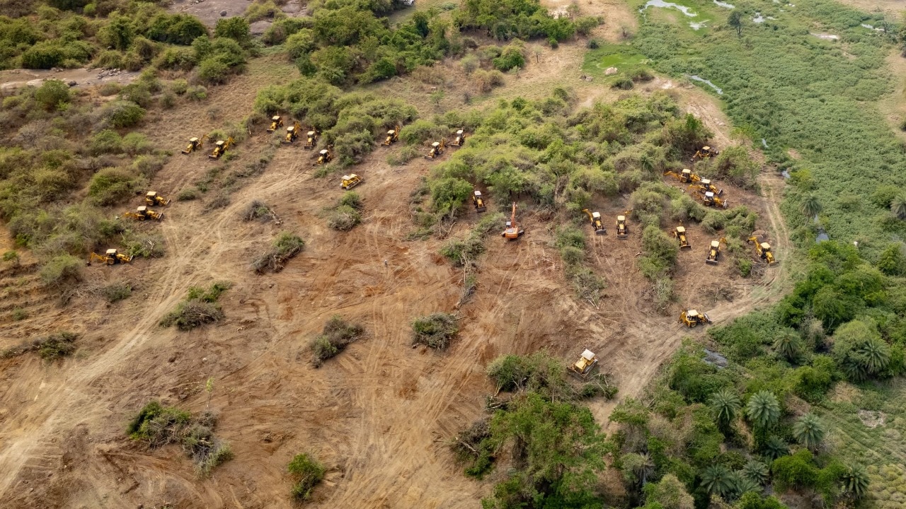 Satellite images confirm deforestation in Hyderabad's Kancha Gachibowli area