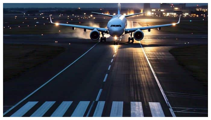 Woman bites air hostess during dramatic fight over body odour on ...