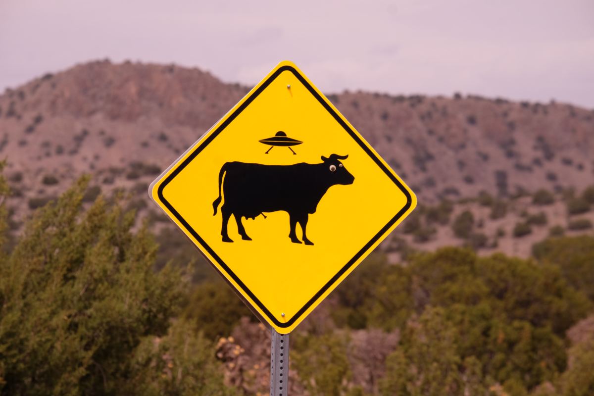 The 13 Weirdest and Funniest Road Signs