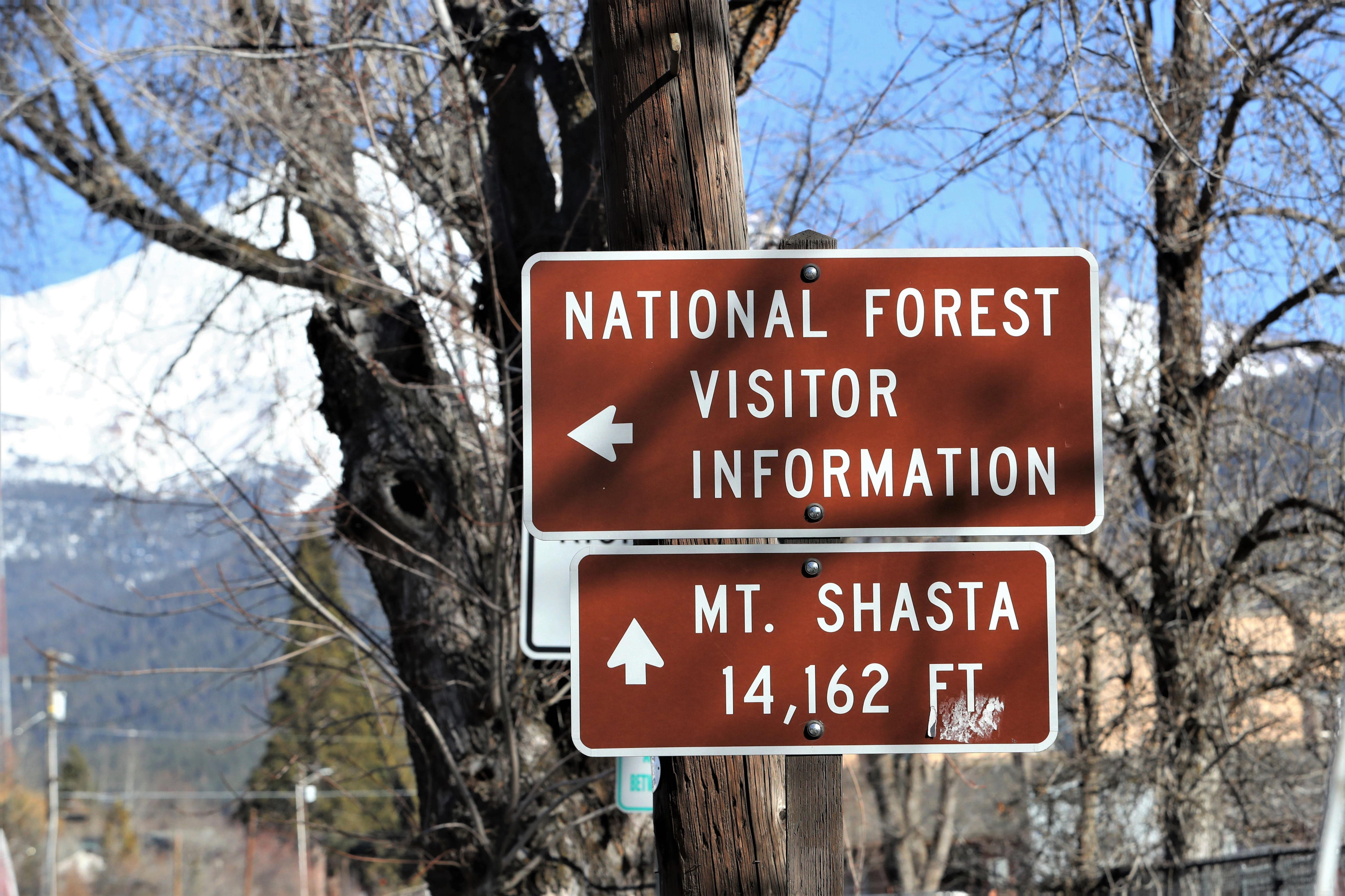 Some Shasta-Trinity National Forest roads closed through May
