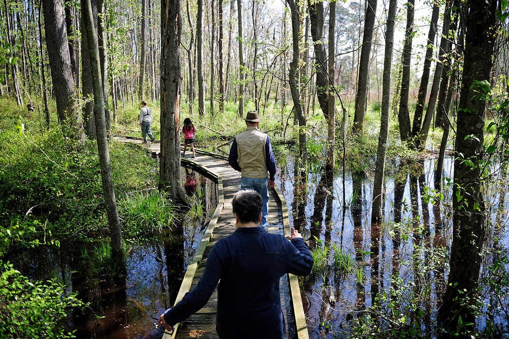 Five things to do this weekend: Wade through a swamp, GreenJacket's ...