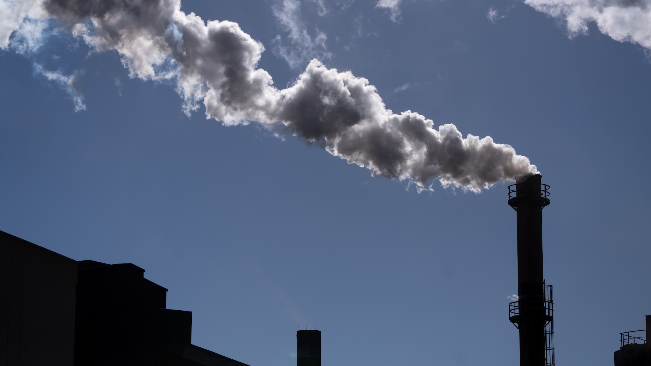 Labor names late-starter federal election candidates for Grey and ...