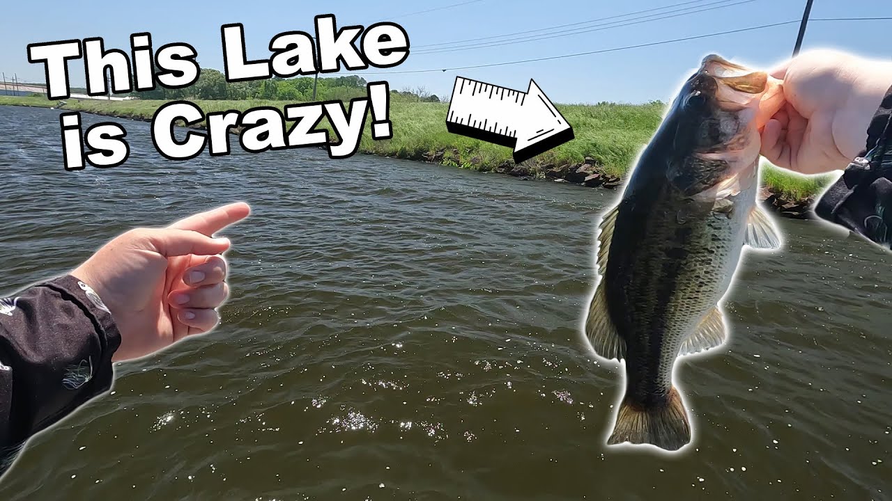 Lone Star Lake is LOADED! East Texas Bass Fishing Trip (Part 1)