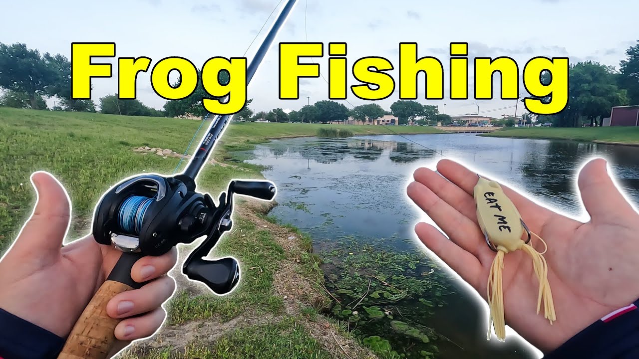 Spring Bass Fishing with Frogs! (May Pond Fishing Fort Worth, Texas)